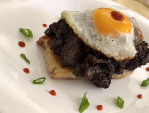Magic Kitchen - Explore New Bedford