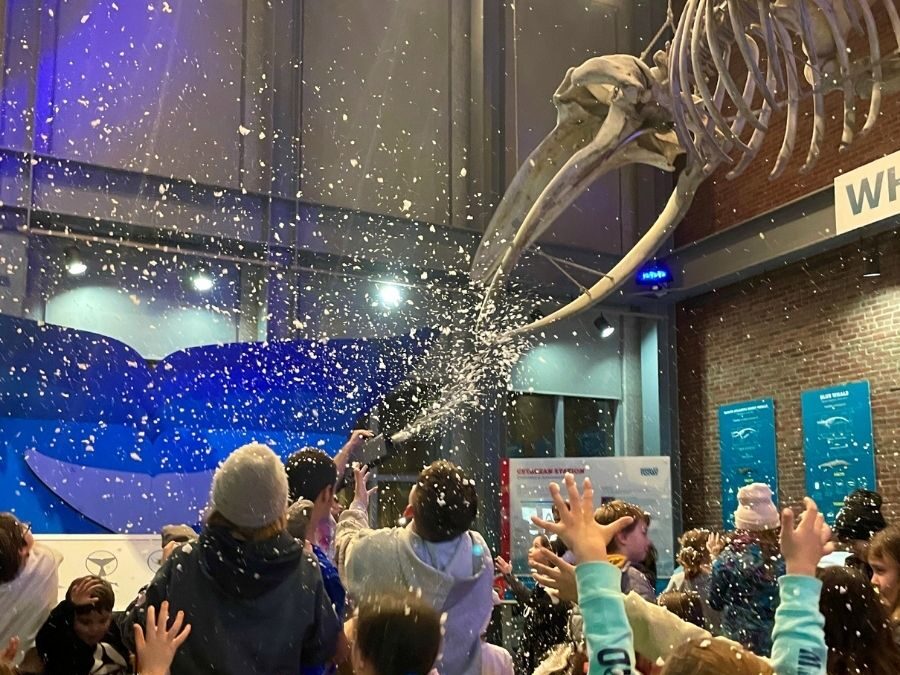 Toe-Jamp-Puppet-Band-smaller-file - Explore New Bedford