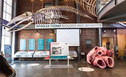 Historical Activities - Explore New Bedford